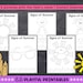 Signs of Summer Tracing Practice Worksheets, Fine Motor Skills Practice ...