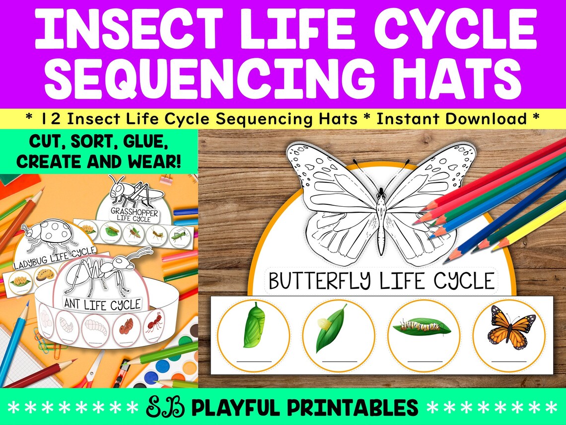 Insect Life Cycle Sequencing Hats for Kids, Hands-on Life Cycle ...