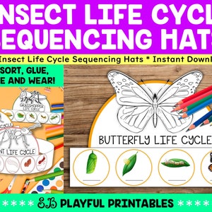 Insect Life Cycle Sequencing Hats for Kids, Hands-on Life Cycle ...