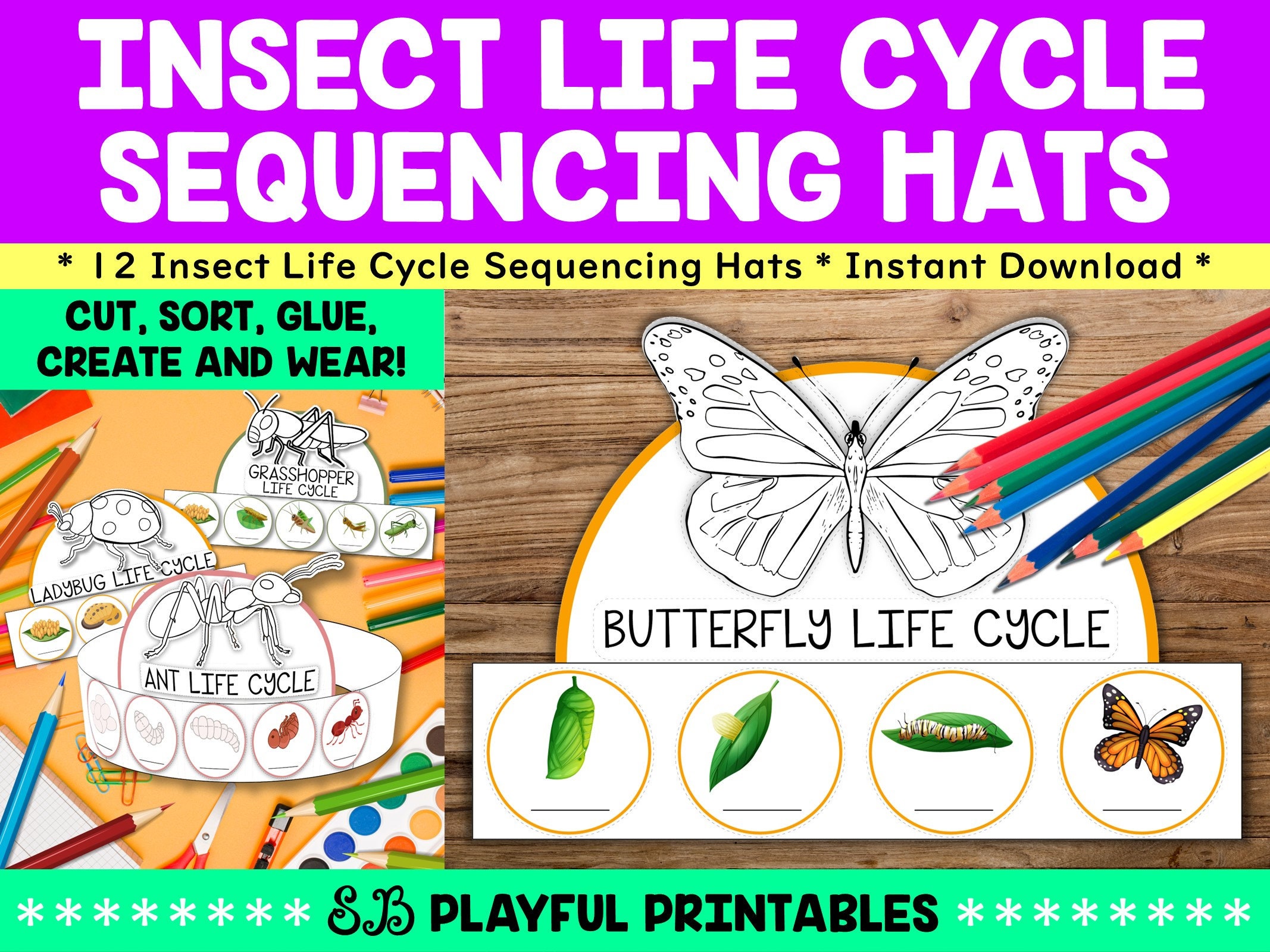 Insect Life Cycle Sequencing Hats for Kids, Hands-on Life Cycle ...