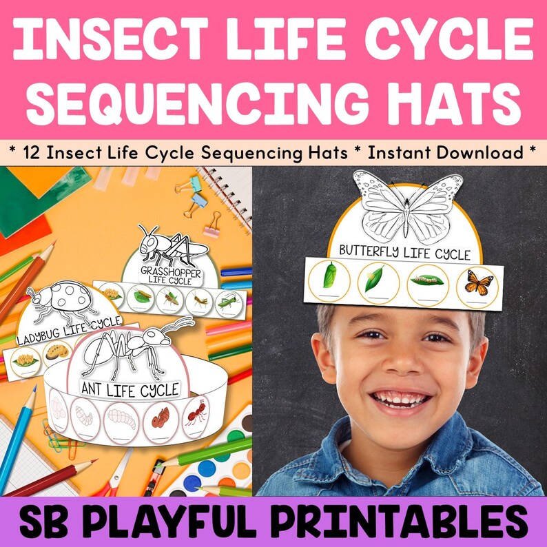 Insect Life Cycle Sequencing Hats for Kids, Hands-on Life Cycle ...