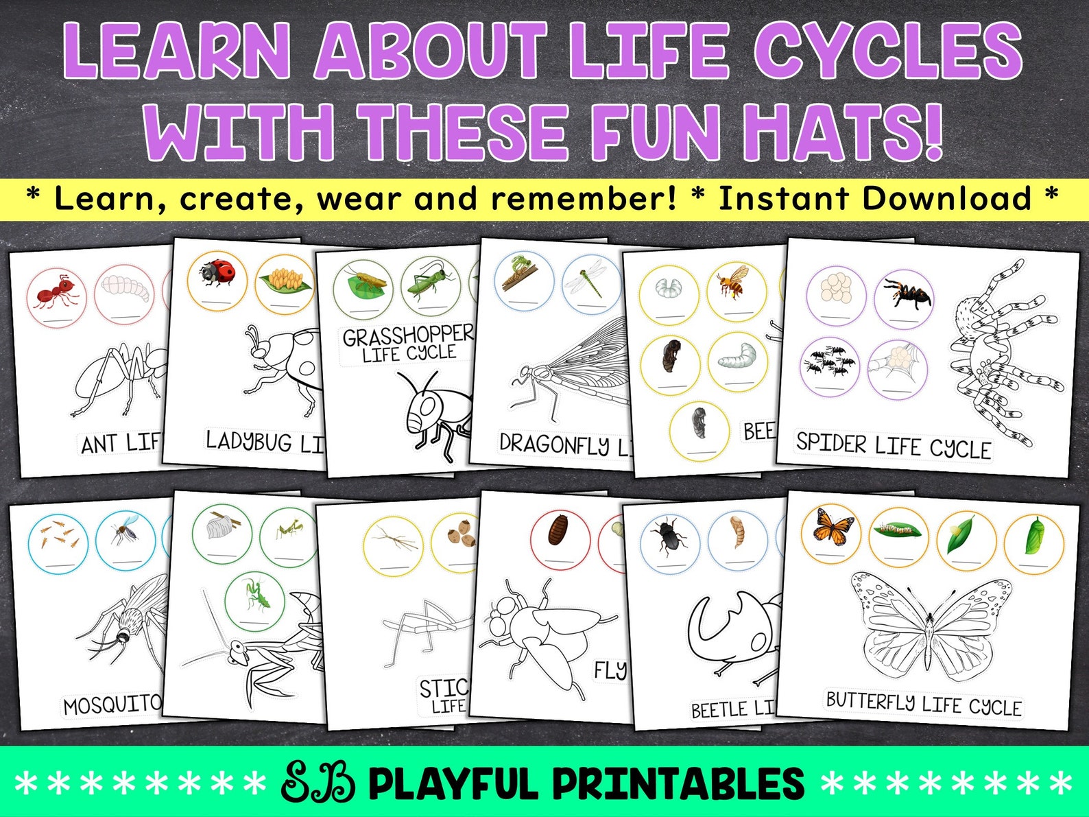 Insect Life Cycle Sequencing Hats for Kids, Hands-on Life Cycle ...