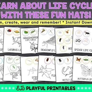 Insect Life Cycle Sequencing Hats for Kids, Hands-on Life Cycle ...