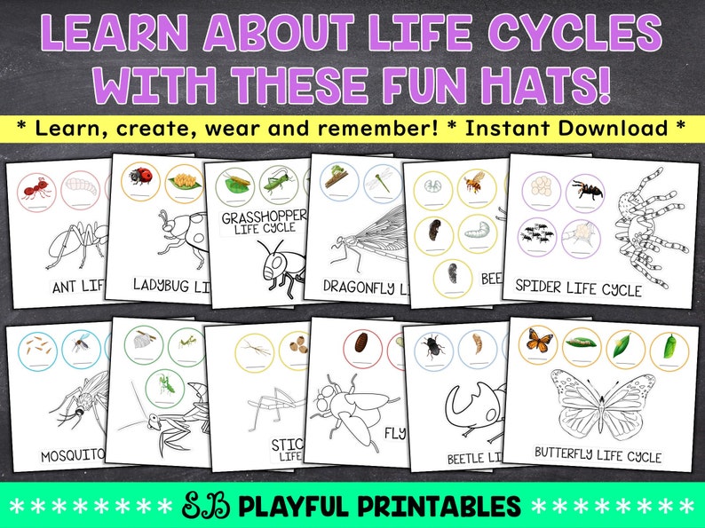 Insect Life Cycle Sequencing Hats for Kids, Hands-on Life Cycle ...