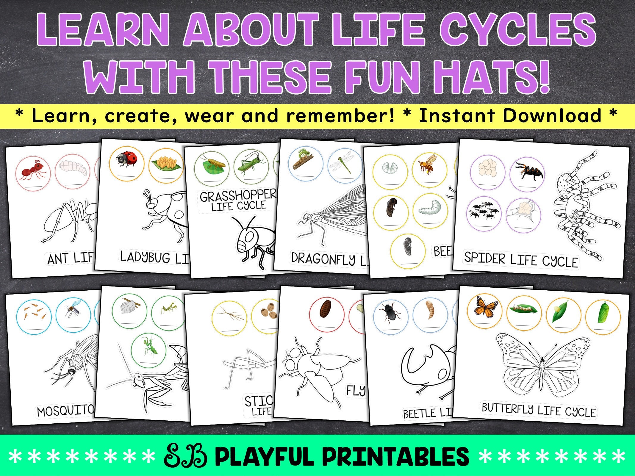 Insect Life Cycle Sequencing Hats for Kids, Hands-on Life Cycle ...
