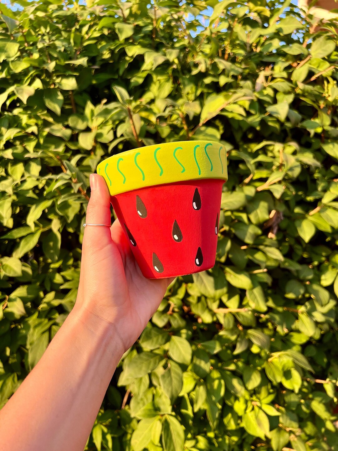 Watermelon Pot Hand Painted Terracotta Pot Hand Painted Plant Pot - Etsy