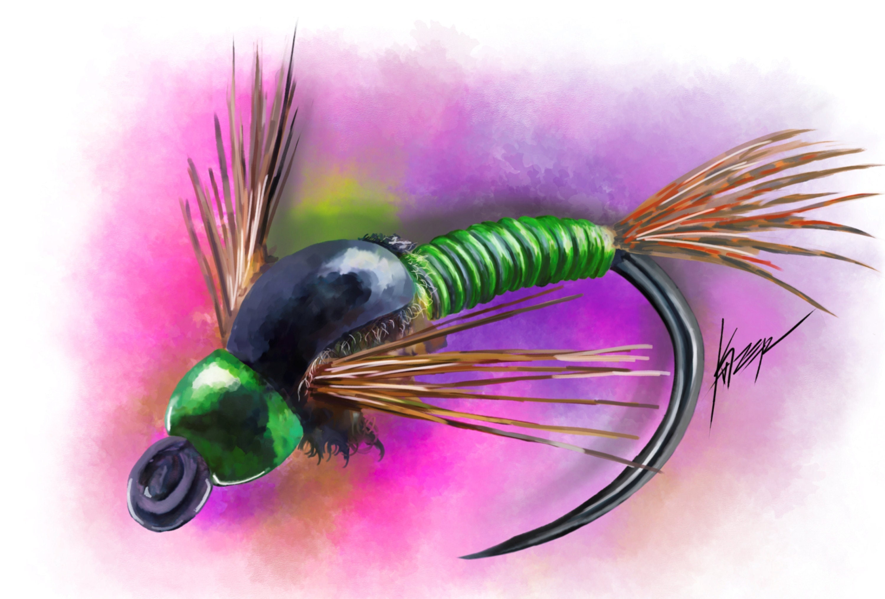 Fly Fishing Lure Drawings