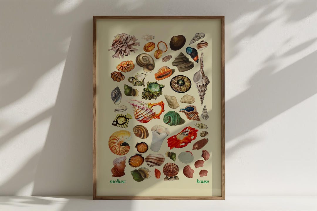 Mollusc House Shell Poster - Etsy