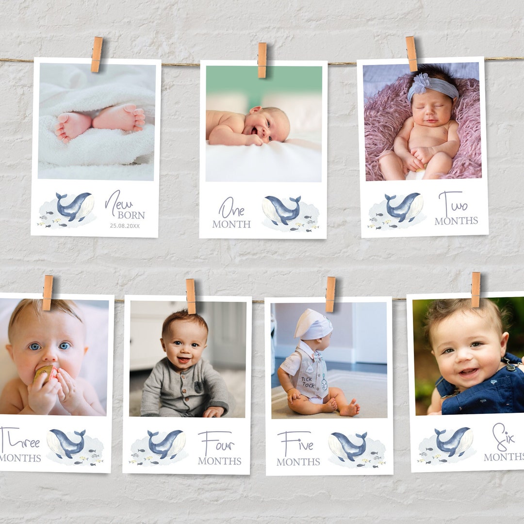 Editable Whale Monthly Photo Banner, Ocean Party Milestone Photos, 1st ...