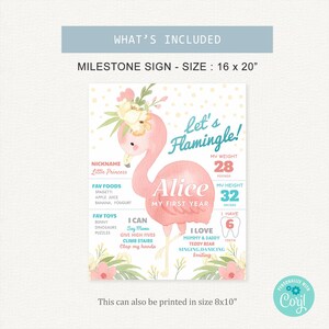 Flamingo Birthday Milestone Sign, Flamingo Milestone Poster, First Year ...