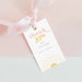 Editable Sunshine Birthday Favor Tags, Boho Sun Gift Tags, First Trip ...