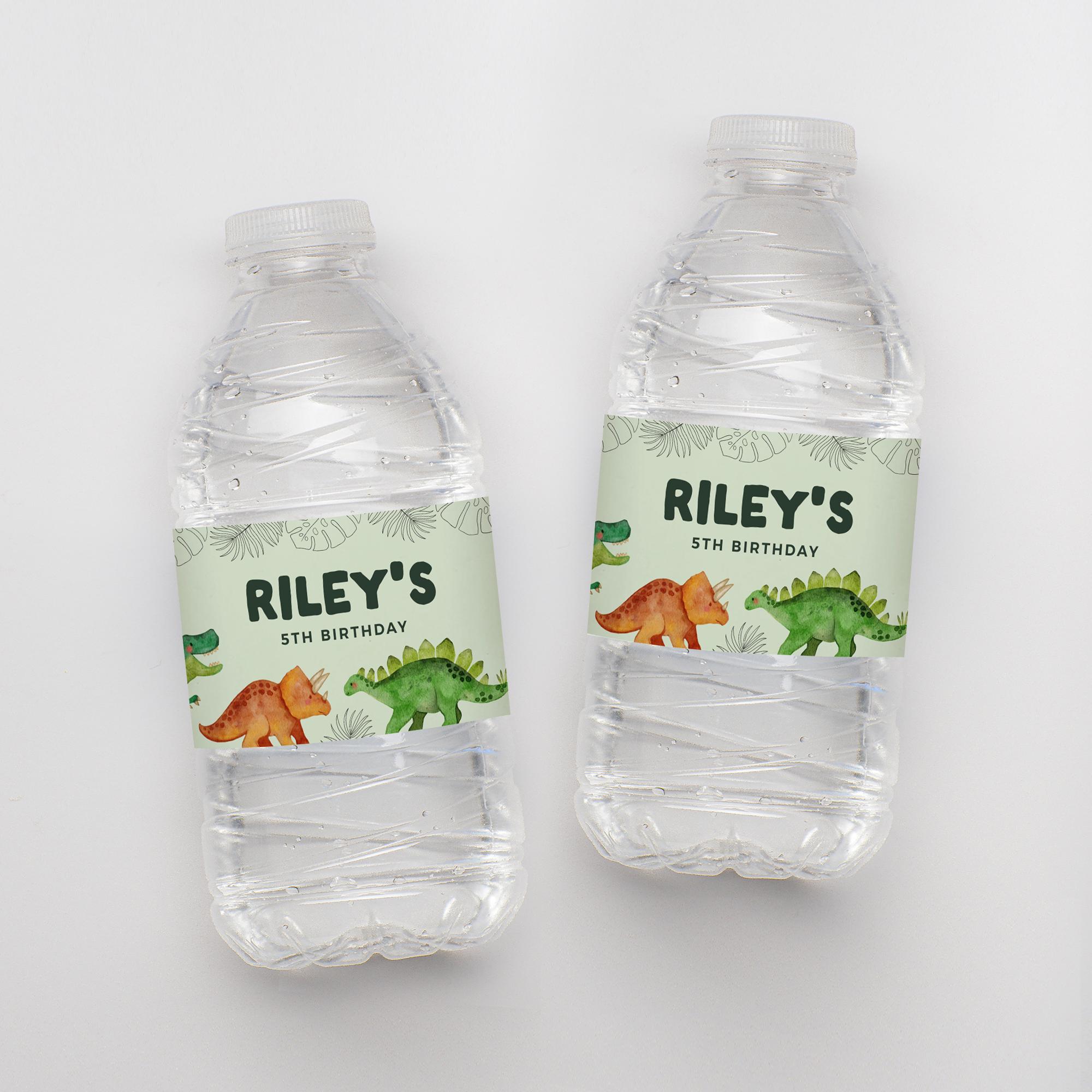 Dinosaur Birthday Water Bottle Label, Dino-mite Party Label, Boy ...