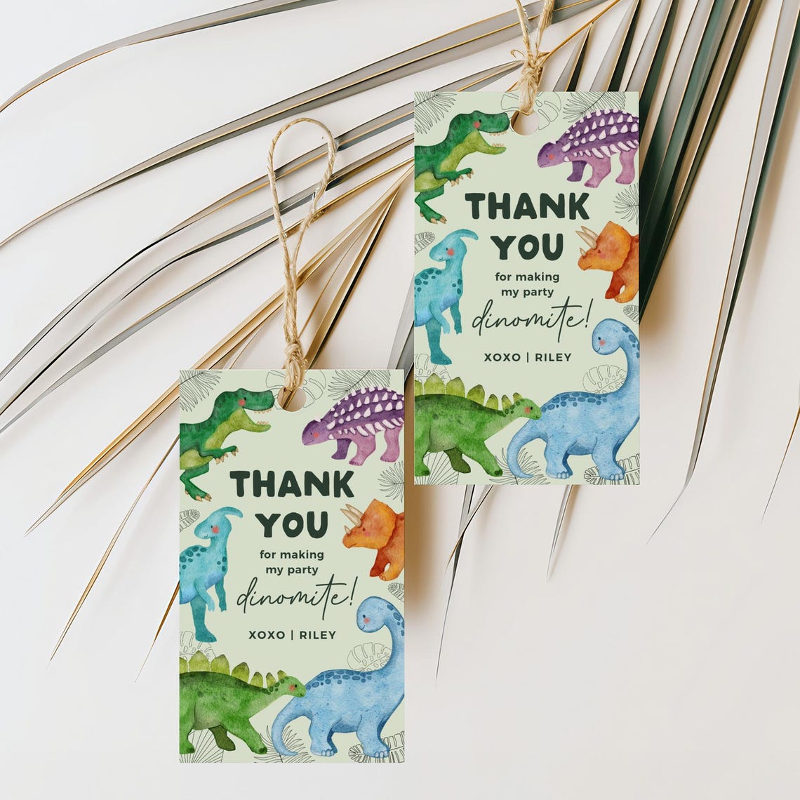 Dinosaur Birthday Favor Tags, Dino-mite Party Gift Tags, Boy Birthday ...
