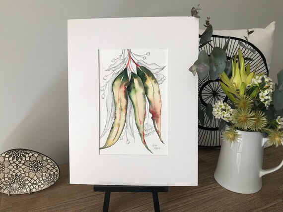 Original Australian Native Watercolour Painting - Etsy Australia