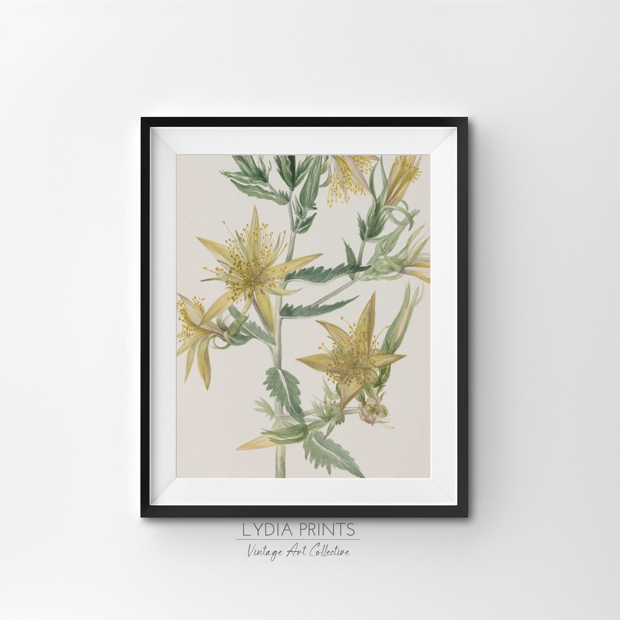 Home Decor Wall Decor Blazing Star Flower Vintage Botanical Wall Print ...