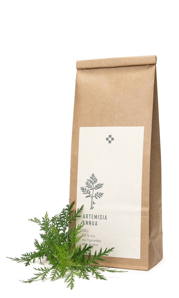 Artemisia Annua Tea organic - Etsy
