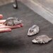 Chubby Crocodile Ceramic Figurine Laying Down Crocodile Figures Tea ...