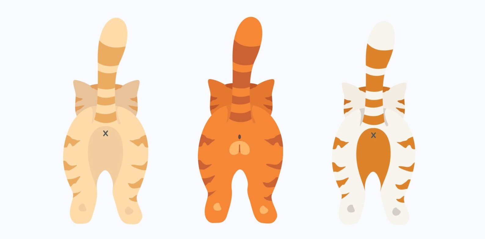 Cat Butt SVG Image Bundle 6 Instant Download Images Cat Tail up Cat Mom ...