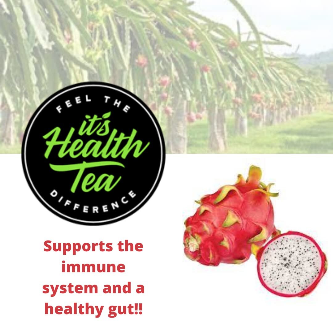 Dragon Fruit Pitaya Tea for Immune & Gut Health Support W/ Dragon Fruit ...