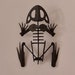 Frog Skeleton Kit Bone Frog Puzzle DIY Gift - Etsy