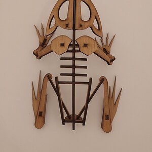 Frog Skeleton Kit Bone Frog Puzzle DIY Gift - Etsy