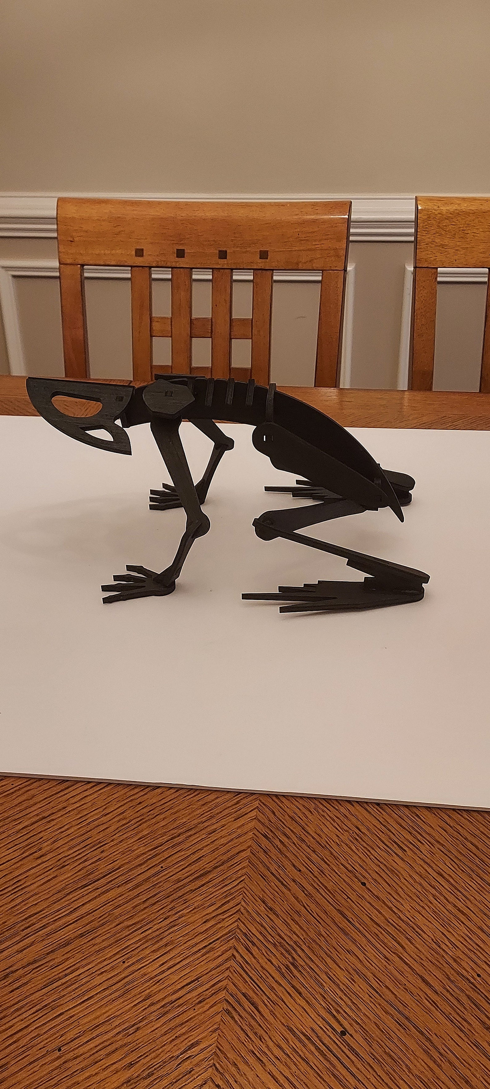 Frog Skeleton Kit Bone Frog Puzzle DIY Gift - Etsy