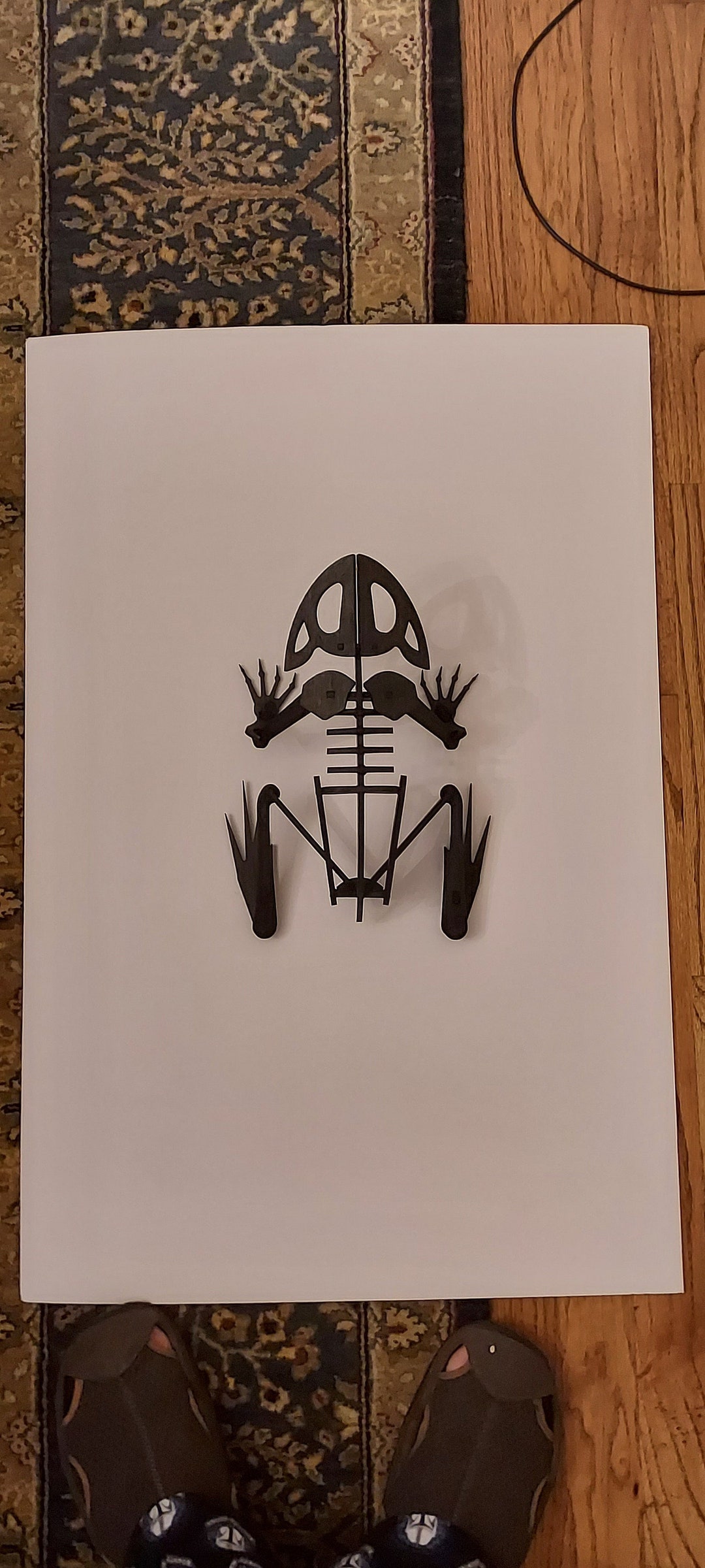 Frog Skeleton Kit Bone Frog Puzzle DIY Gift - Etsy