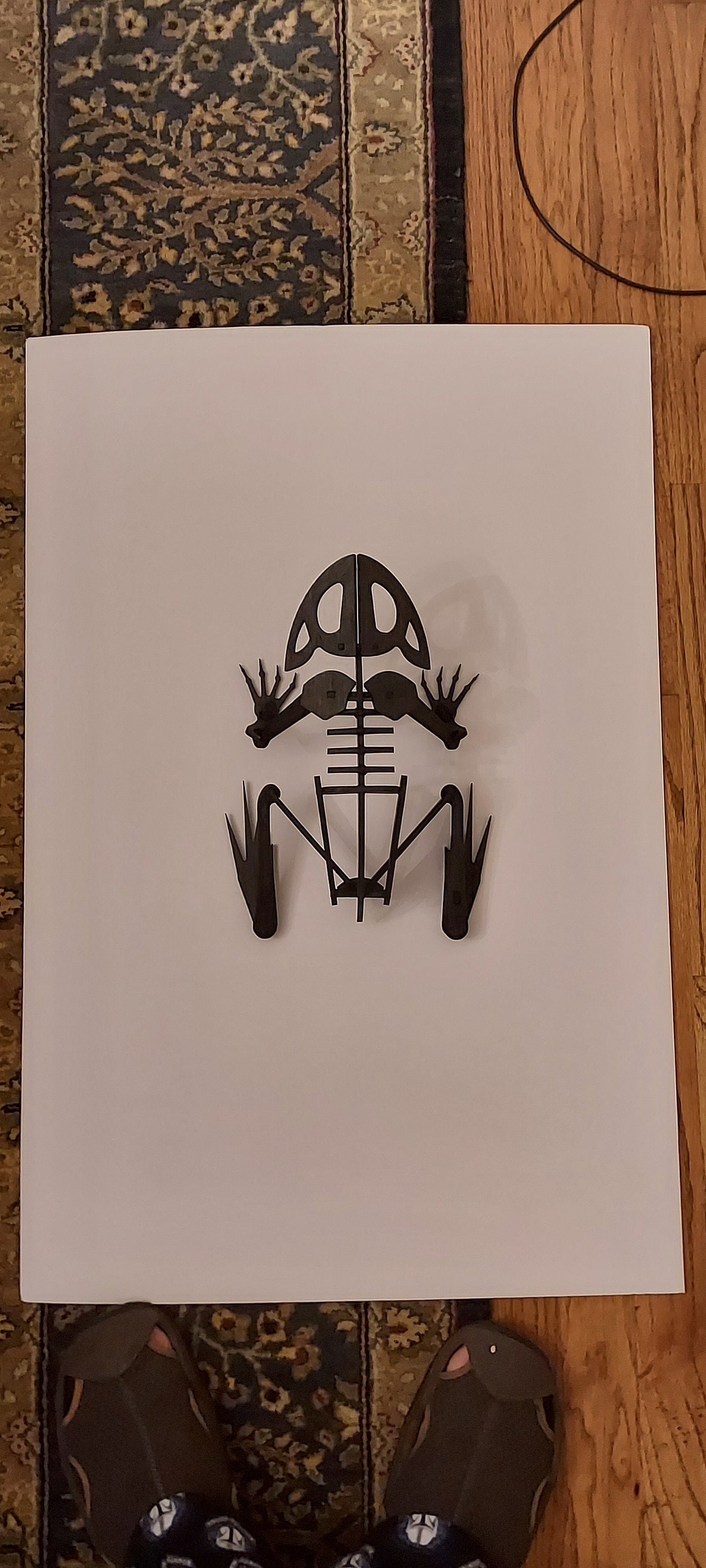 Frog Skeleton Kit Bone Frog Puzzle DIY Gift - Etsy