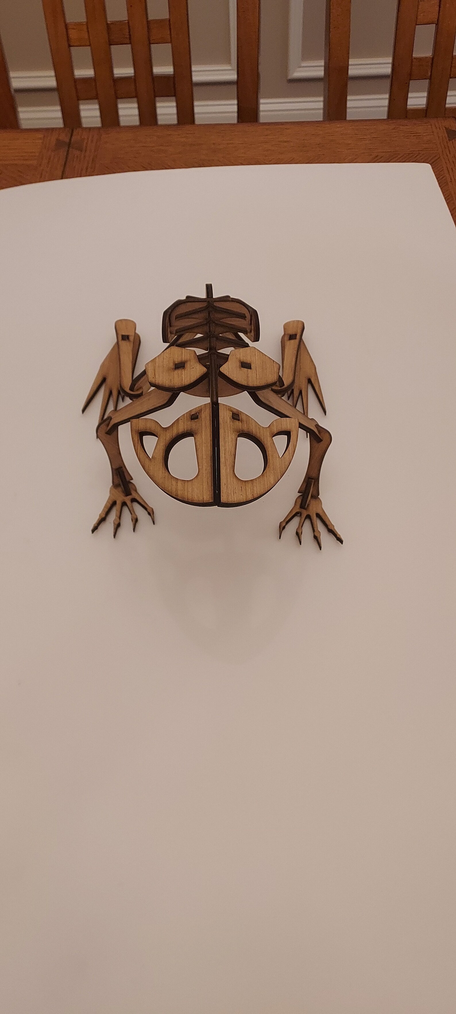 Frog Skeleton Kit Bone Frog Puzzle DIY Gift - Etsy