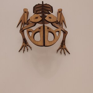 Frog Skeleton Kit Bone Frog Puzzle DIY Gift - Etsy