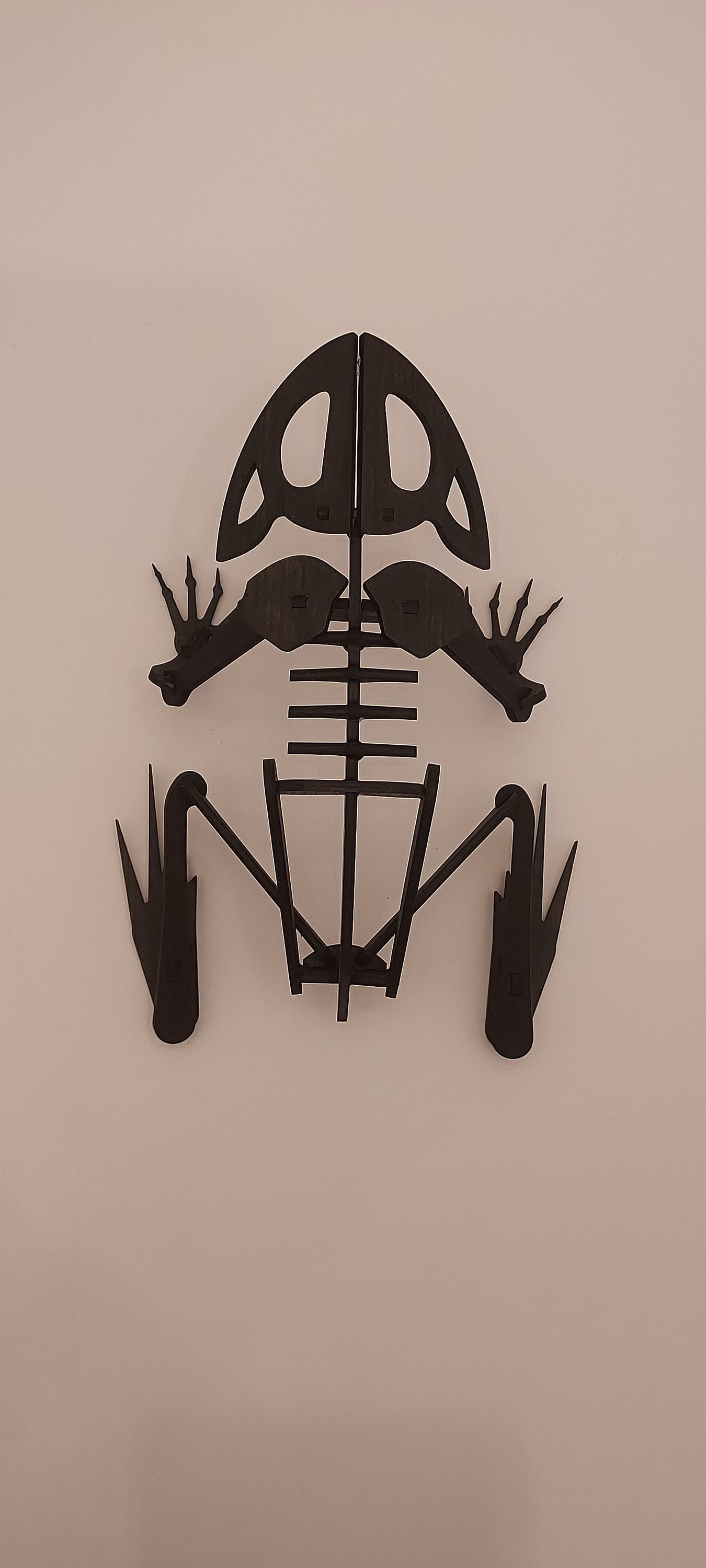 Frog Skeleton File Bone Frog Puzzle Frog SVG DXF AI Digital File 5mm ...