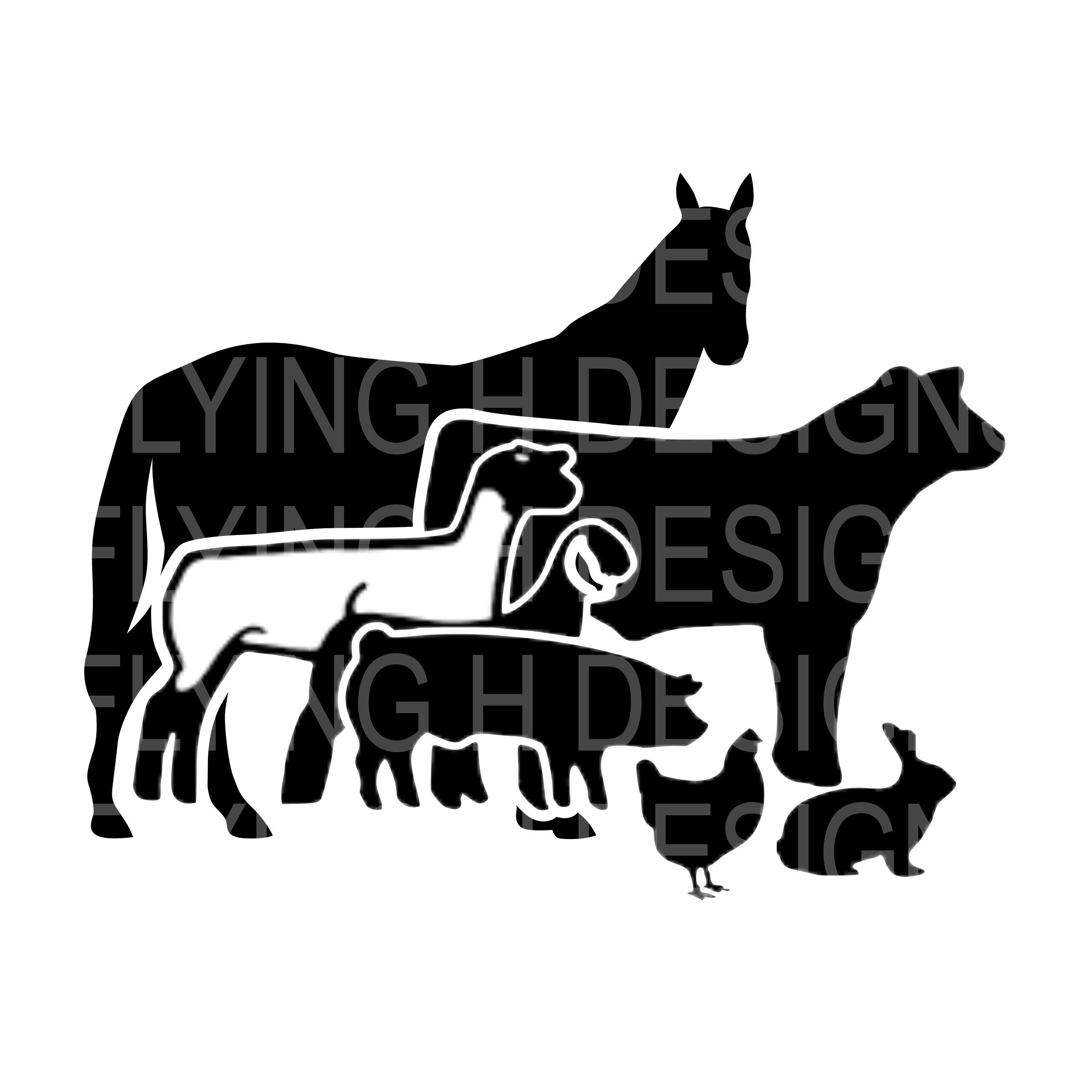 Livestock Show Animals