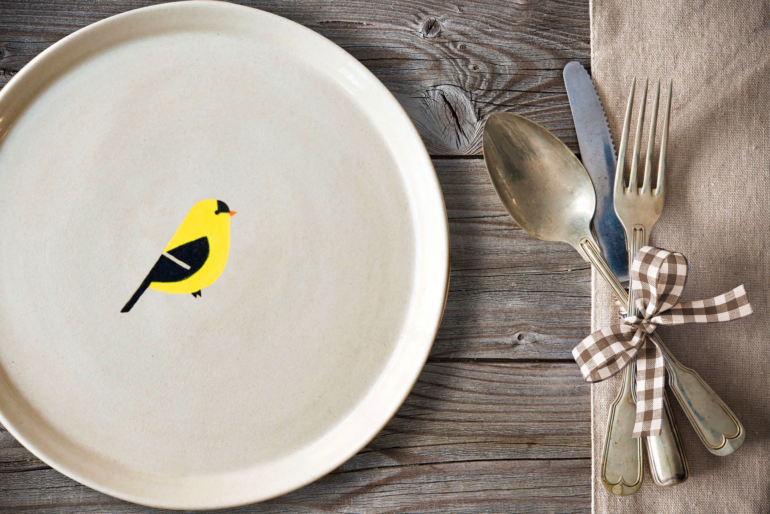 USA Birds Plate Set: Hand-painted Dinnerware, Modern Boho Decor - Etsy