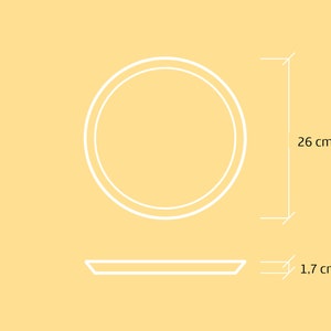 USA Birds Plate Set: Hand-painted Dinnerware, Modern Boho Decor - Etsy