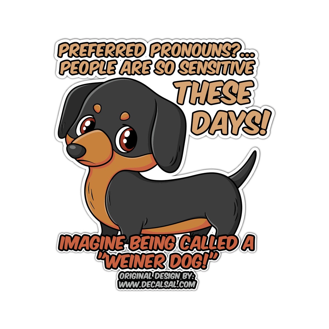 Preferred Pronouns Weiner Dog Sticker / Waterproof Vinyl Decal. Fun ...