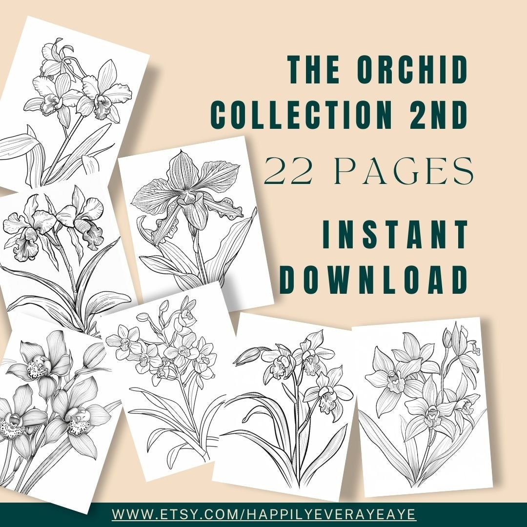 Orchid Oasis: Exquisite Adult Coloring Pages to Unwind & Inspire ...