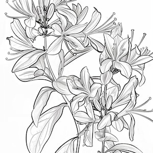 Printable Botanical Coloring Book Pages for Adults, Floral Adult ...