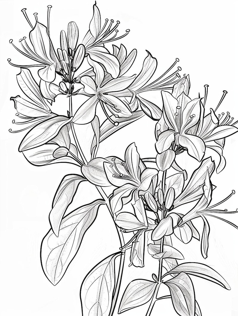Printable Botanical Coloring Book Pages for Adults, Floral Adult ...
