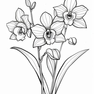 Printable Printable Orchid Coloring Book Pages for Adults, Floral Adult ...