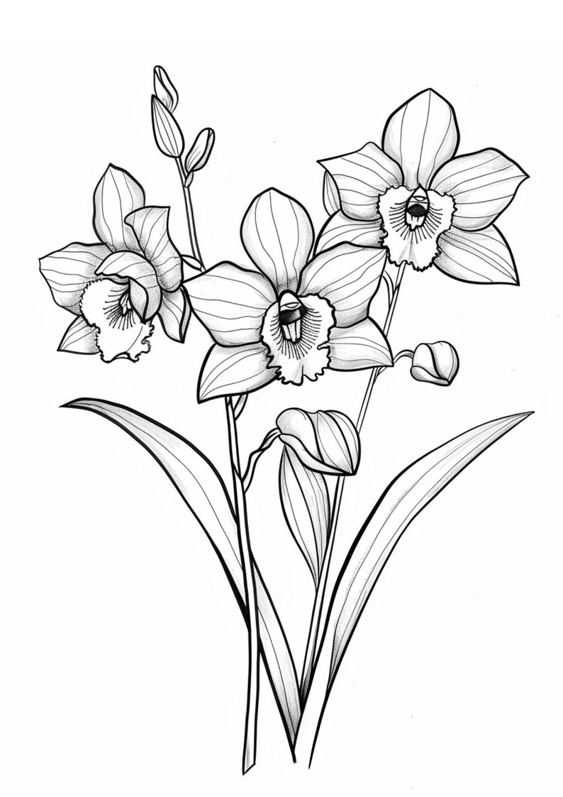 Printable Printable Orchid Coloring Book Pages for Adults, Floral Adult ...