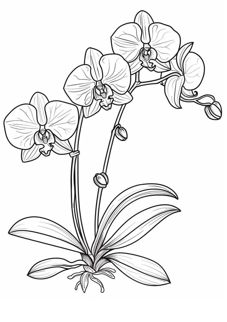 Printable Printable Orchid Coloring Book Pages for Adults, Floral Adult ...