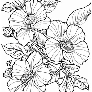 Printable Printable Orchid Coloring Book Pages for Adults, Floral Adult ...