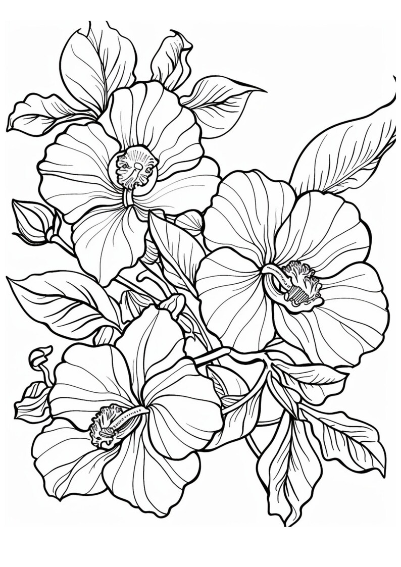 Printable Printable Orchid Coloring Book Pages for Adults, Floral Adult ...