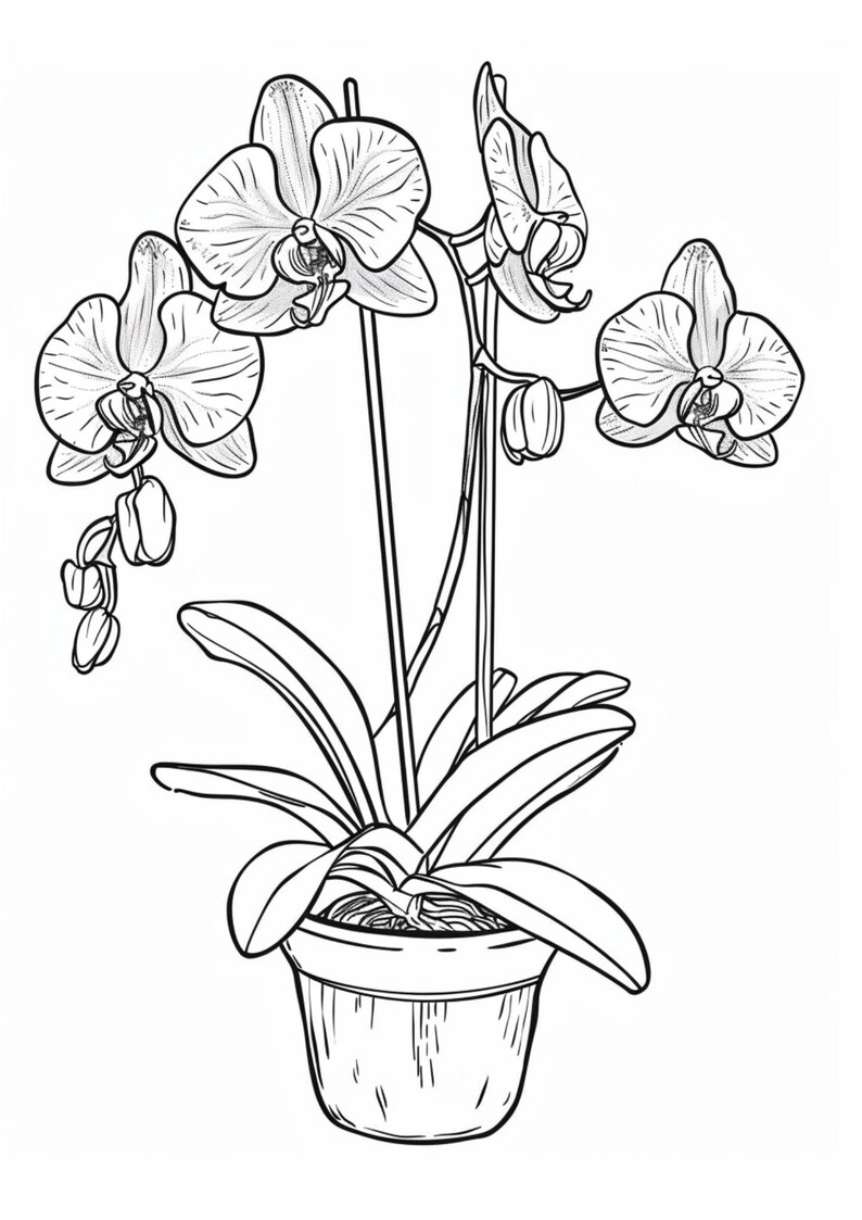 Printable Printable Orchid Coloring Book Pages for Adults, Floral Adult ...