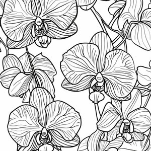 Printable Printable Orchid Coloring Book Pages for Adults, Floral Adult ...