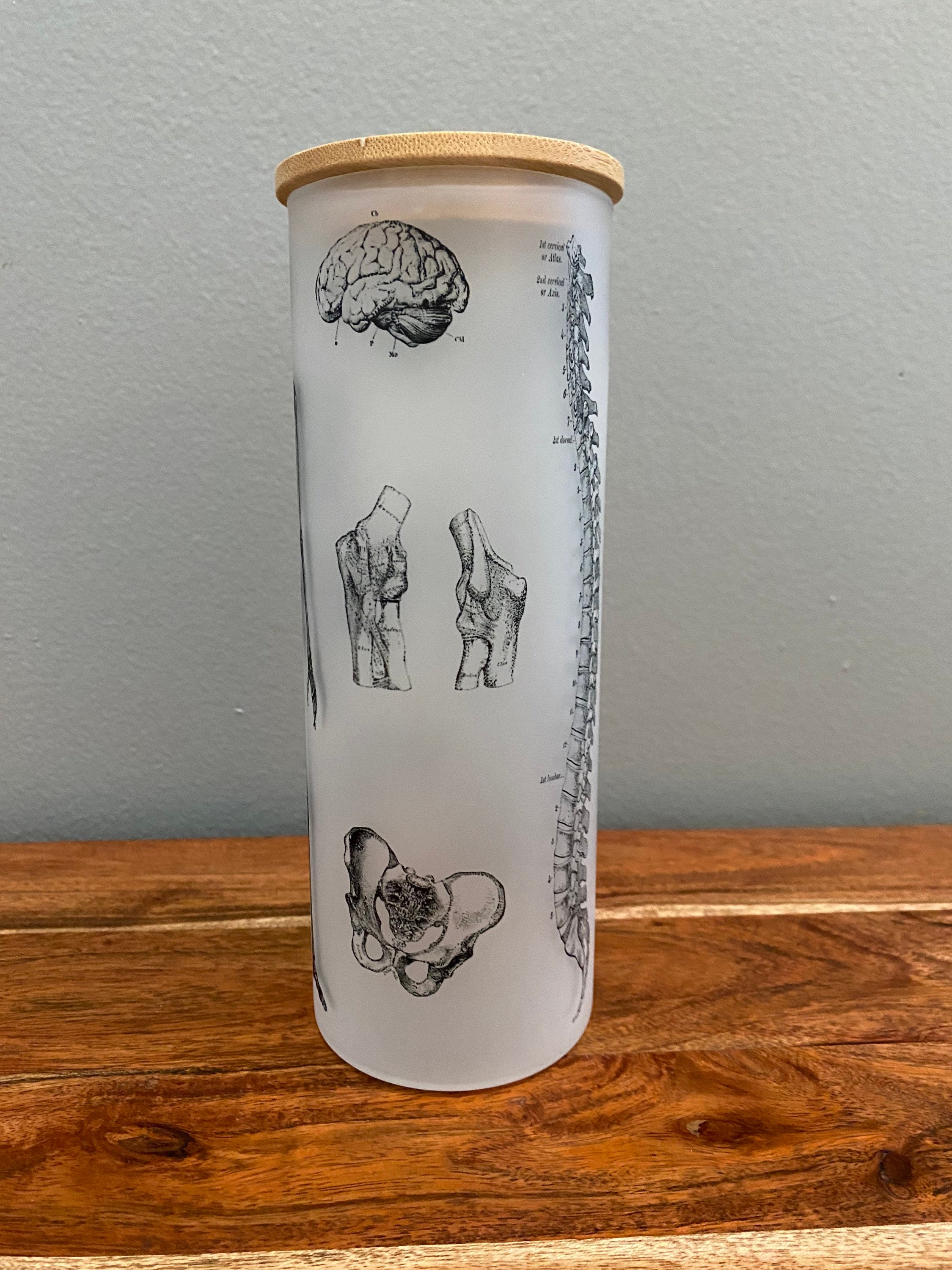 Anatomy Body Parts Skeleton Brain Spine Eye Hip Lungs Tumbler Cup Gift ...