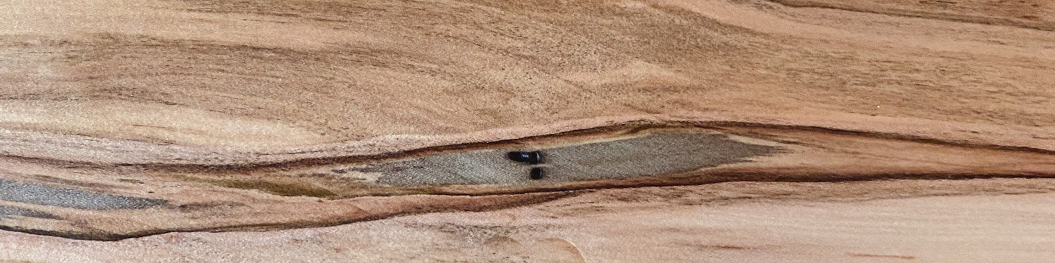 MustardSeedByCaleb - Etsy