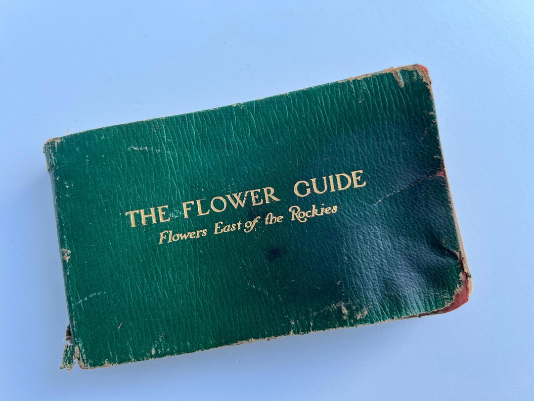 Rare, Antique Reference Guide: the Flower Guide, Flowers East of the ...