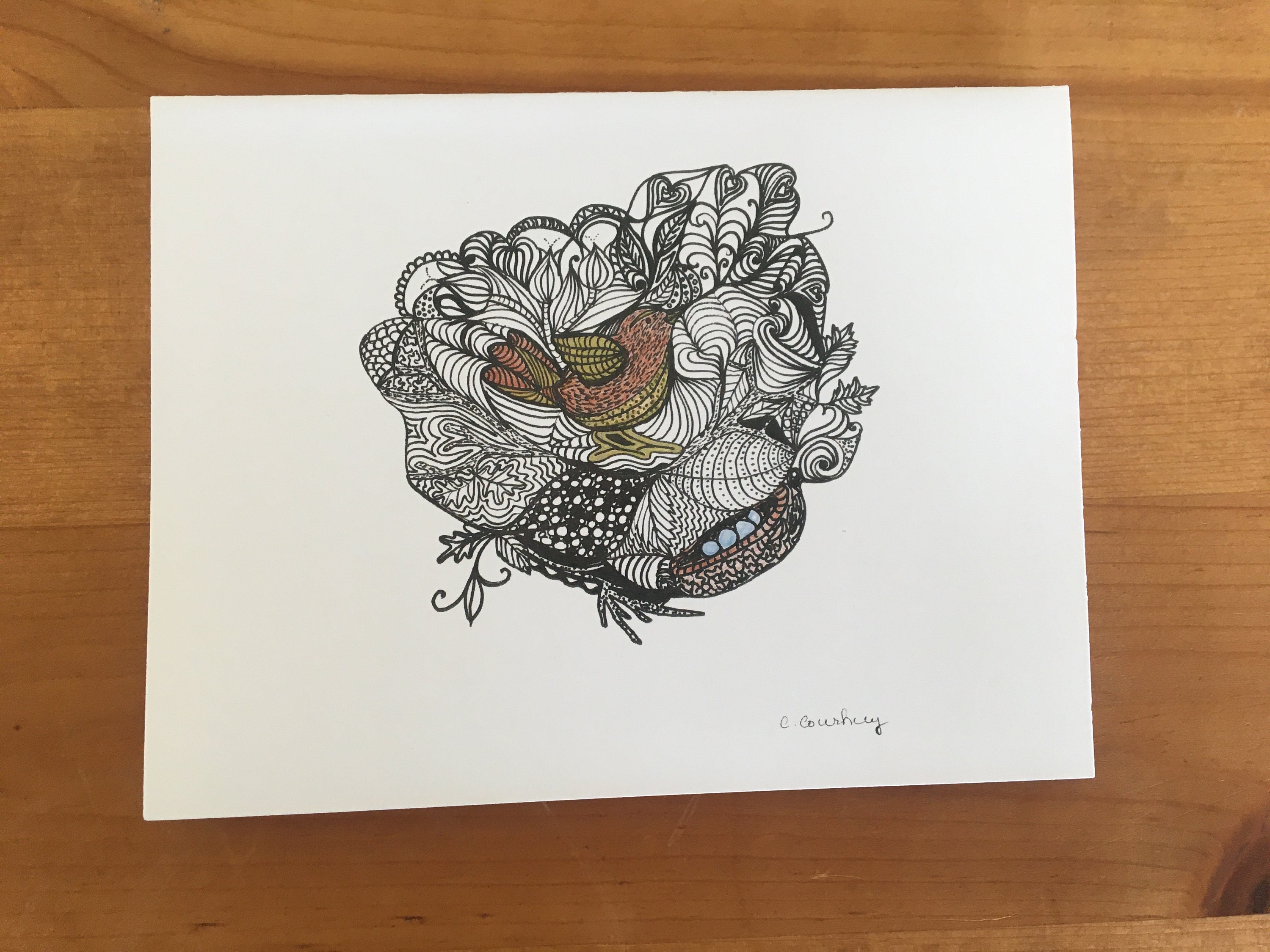 Note Cards, Original Art, Stationary, Pen and Ink, - Etsy