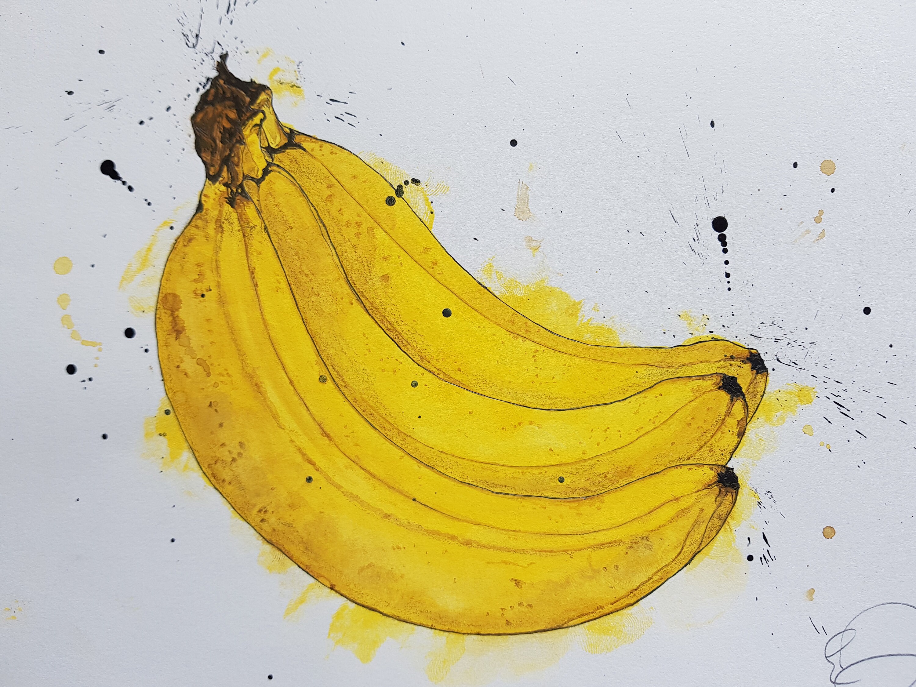 Bananas — Emma Dibben Illustration